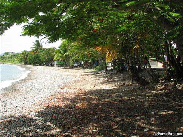 Playa Inches - ZeePuertoRico.com